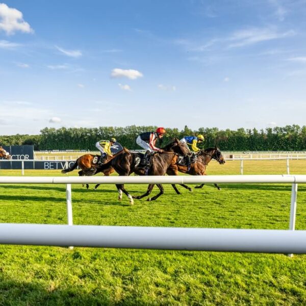 2025 William Hill Super Saturday | Newbury Racecourse